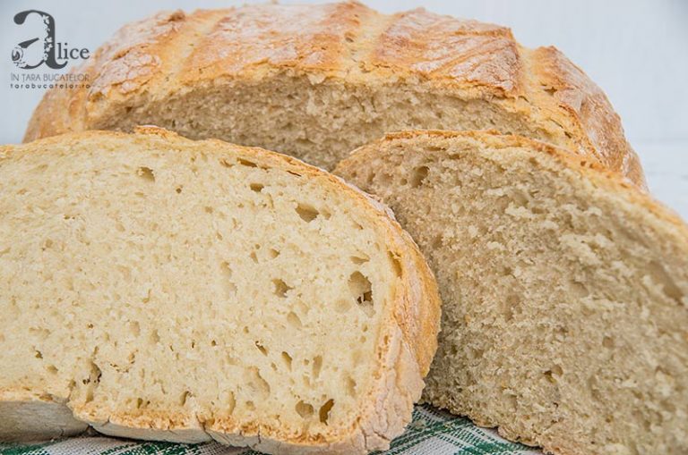Paine fara framantare rapida - Retete culinare din Tara bucatelor